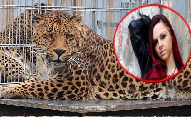 పులితో ఫోటో దిగాలనుకున్న ప్రముఖ మోడల్‌.. చివరికి ఇలా..