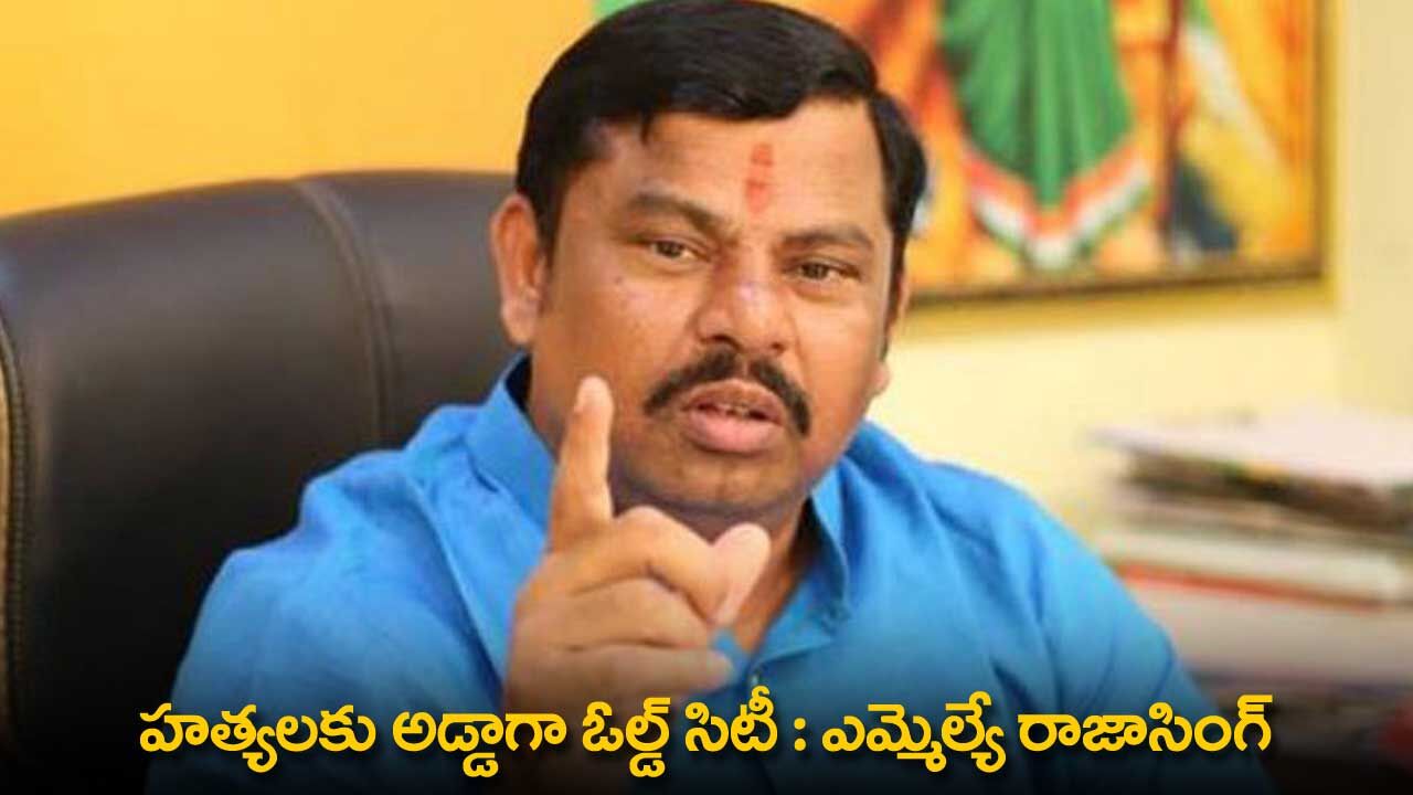 Old City : హత్యలకు అడ్డాగా ఓల్డ్ సిటీ : ఎమ్మెల్యే రాజాసింగ్ | Old City ...