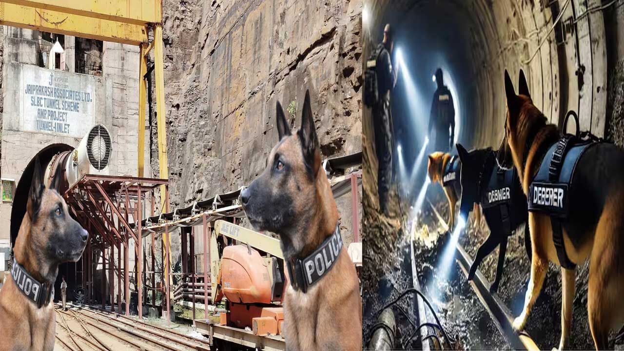 Kerala Coastal Dogs : టన్నెల్ లోకి కేరళ కడవల్ డాగ్స్.. ఏం చేస్తాయంటే ...